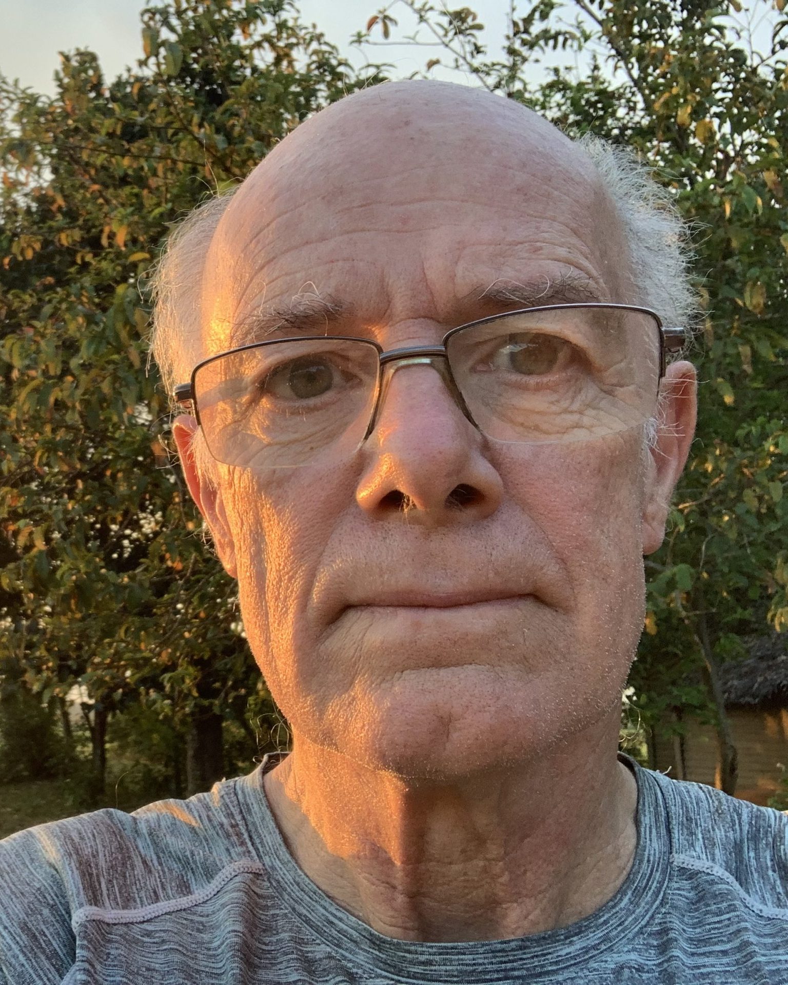 الدكتور فيكتور فريدلوند - ICMDA World Congress 2026